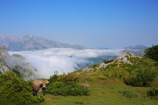 Full Day Private 4WD Tour from Santander to Picos de Europa. Excellent meals. - Breakdown of the Itinerary