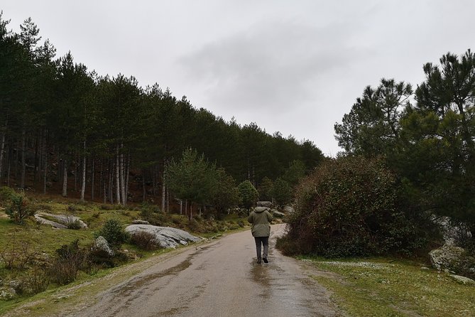 Full-Day Private Guided Tour to Guadarrama National Park - The Value of a Guided Experience