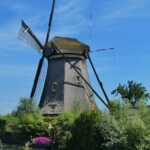 Full Day Private Kinderdijk and South Holland Tour - An In-Depth Look at the Itinerary