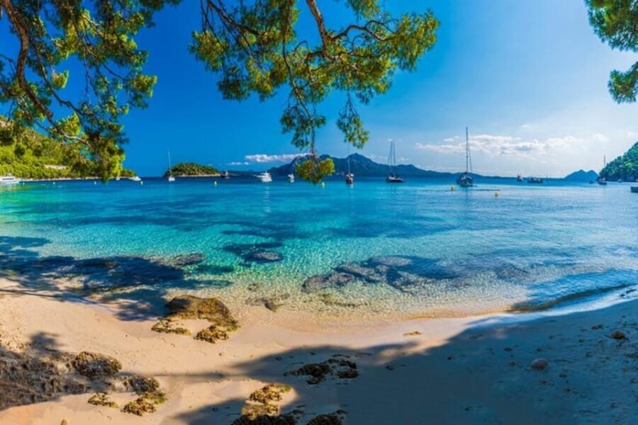 Full Day Private Shore Tour in Palma de Mallorca from Port - What We Like About This Tour