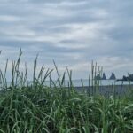 Full-Day Private South Coast Tour from Reykjavik port - Authentic Experiences and Practical Tips