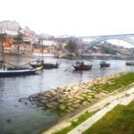 Full Day Private Tour from Lisbon to Porto - An In-Depth Look at the Tour