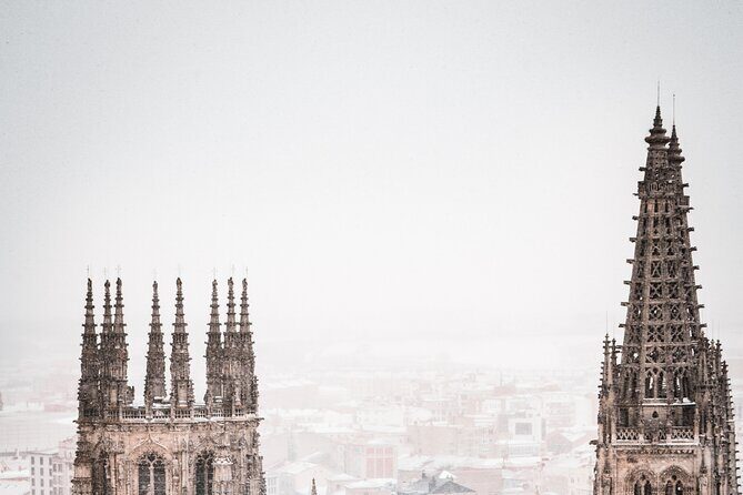 Full-Day Private Tour in Burgos from Madrid with Pick Up - What Makes This Tour Stand Out?