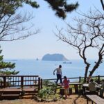 Full-Day Private Tour in Jeju Island - Who Will Love This Tour?