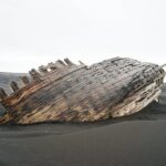 Full-Day Private Tour in Thorsmork - Practical Aspects of the Tour