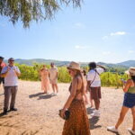 Full day private tour to Chianti wine region from Florence - An In-Depth Look at the Chianti Private Tour