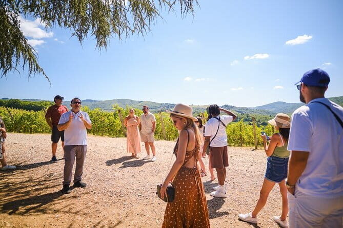 Full day private tour to Chianti wine region from Florence - An In-Depth Look at the Chianti Private Tour