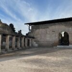 Full Day Private Tour to Pompeii, Herculaneum and Oplontis - Optional Lunch and Wine Tasting