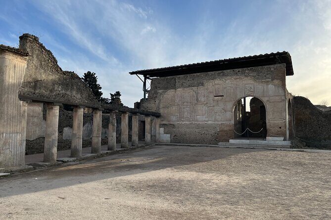 Full Day Private Tour to Pompeii, Herculaneum and Oplontis - Optional Lunch and Wine Tasting