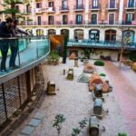 Full-Day Private Tour with Sagrada Familia and Paella - What to Expect and Practicalities