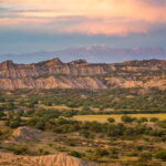 Full-day Private Wilderness tour in Vashlovani National Park - An In-Depth Look at the Tour Experience