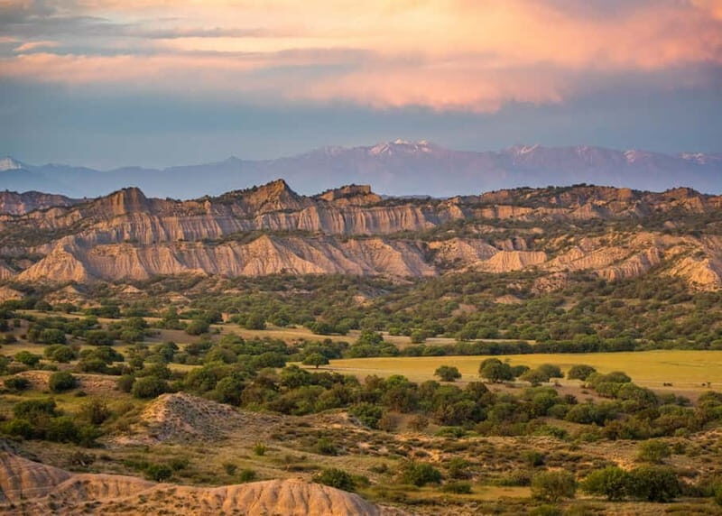 Full-day Private Wilderness tour in Vashlovani National Park - An In-Depth Look at the Tour Experience
