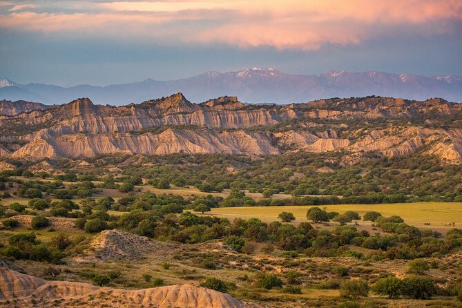 Full-Day Private Wilderness Tour in Vashlovani National Park - An In-Depth Look at the Tour Experience