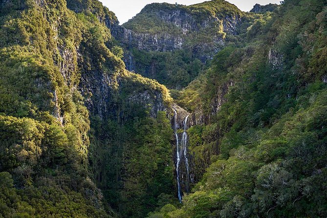 Full-Day Rabaçal Levada Walk from Funchal - An Overview of the Tour Experience