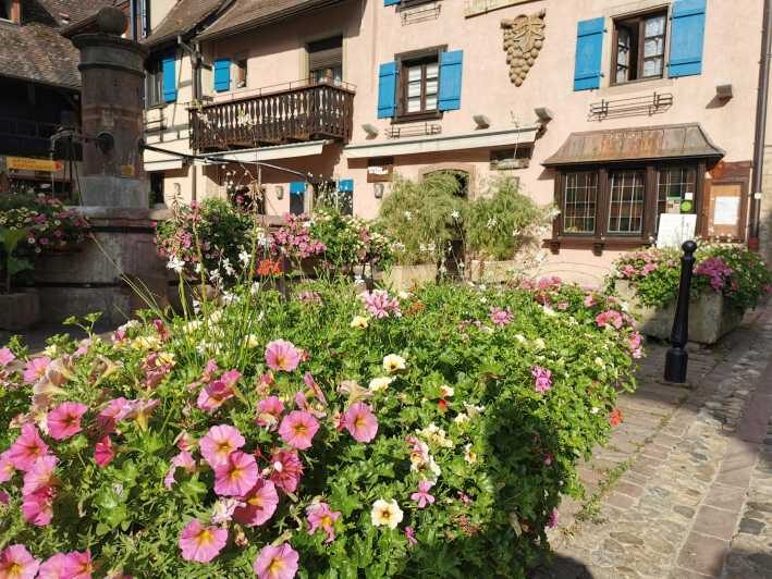Full Day Safari Tour Villages & Vineyards Wine tasting - Visiting the Family-Owned Winery