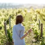 Full-day Saint-Emilion: Village, Undergrounds and Châteaux - Practical Considerations and Value