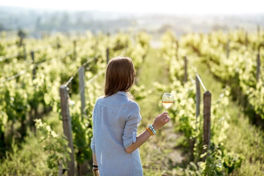 Full-day Saint-Emilion: Village, Undergrounds and Châteaux - Practical Considerations and Value