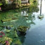 Full Day Salda + Pamukkale Tour from Side/Manavgat - What the Reviews Say