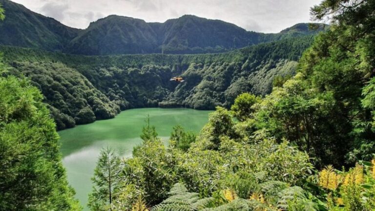 Full day Sete Cidades and Lagoa do Fogo - Who Should Consider This Tour?