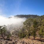 Full Day Small Group Tour to Masca and Teide From North Tenerife - What Makes This Tour a Great Value?