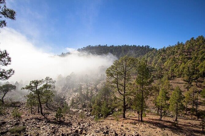 Full Day Small Group Tour to Masca and Teide From North Tenerife - What Makes This Tour a Great Value?