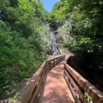 Full Day Tour from Batumi to Waterfalls - An In-Depth Look at the Waterfalls and Surroundings