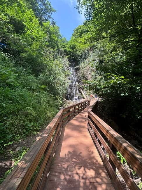 Full Day Tour from Batumi to Waterfalls - An In-Depth Look at the Waterfalls and Surroundings