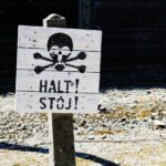 Full-Day Tour of Auschwitz-Birkenau and Salt Mine from Krakow - Transport, Timing, and Practicalities