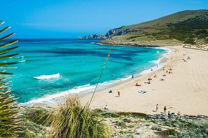 Full-Day Tour of Cala Agulla, and Cala Molto - Key Points