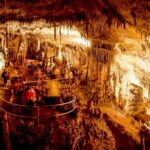 Full-day Tour to Drach Caves and Portocristo Town - Who Will Love This Tour?