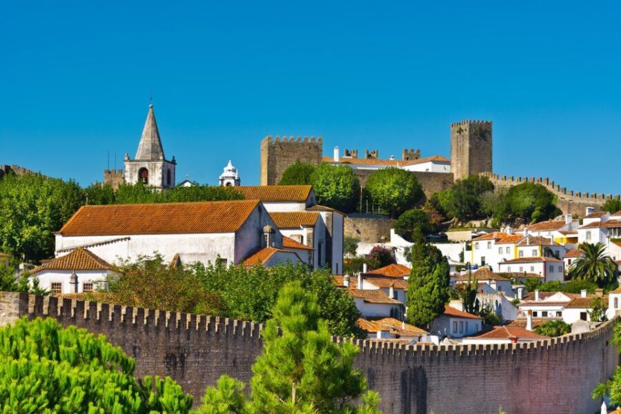 Full Day Tour - Transfer to Porto from Lisbon with Stops - Practical Aspects & What It Means for Travelers