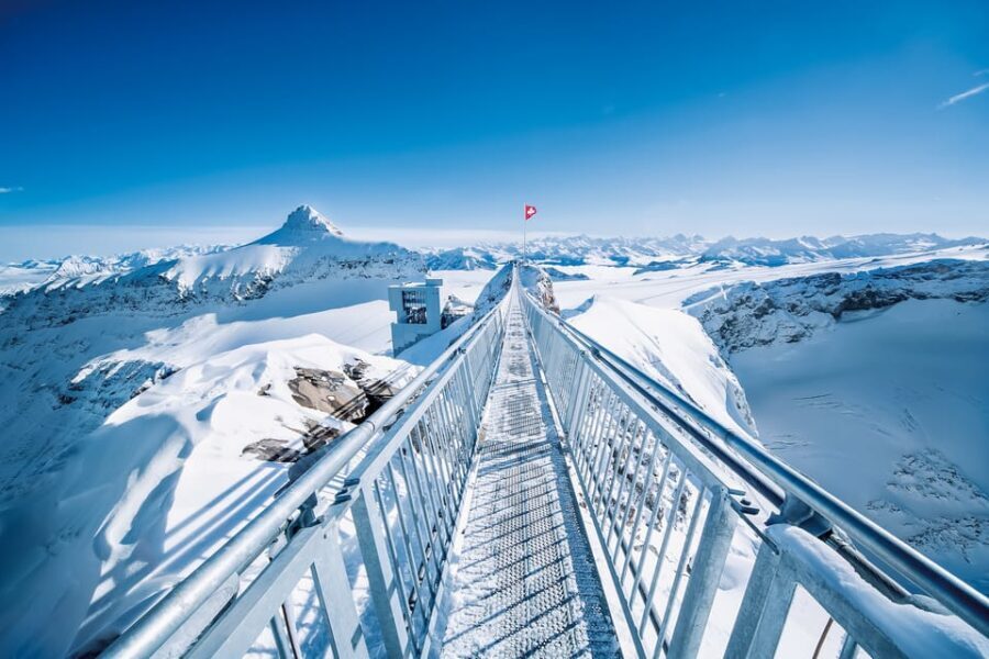 Full-Day Trip to Riviera Col du Pillon & Glacier 3000 - Transportation and Logistics
