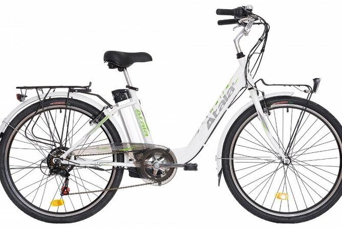 Full Day Venice E-Bike Rental - Why This Tour Is a Great Choice