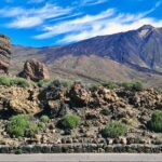 Full-Day Vip Masca and Teide Tour From South Tenerife - Transportation, Price, and Overall Value