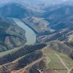 Full Day, Wine Tasting, River Cruise and Lunch from Porto - FAQ
