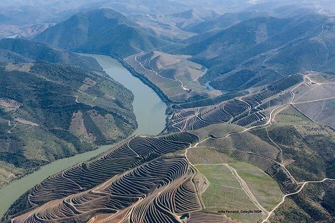 Full Day, Wine Tasting, River Cruise and Lunch from Porto - FAQ