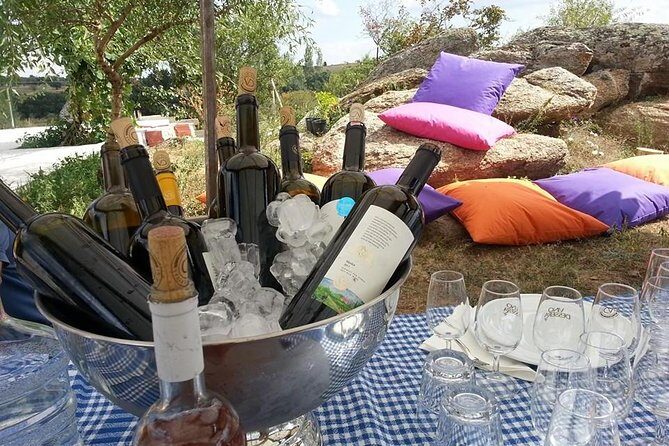 Full-Day Wine Tour from Istanbul - Lunch with a View
