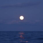 FULL MOON Boat Experience (OpenBar+Local Tapa included) - In-Depth: The Itinerary and What Sets Each Part Apart