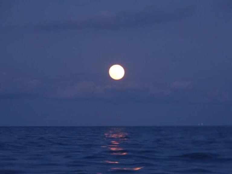 FULL MOON Boat Experience (OpenBar+Local Tapa included) - In-Depth: The Itinerary and What Sets Each Part Apart