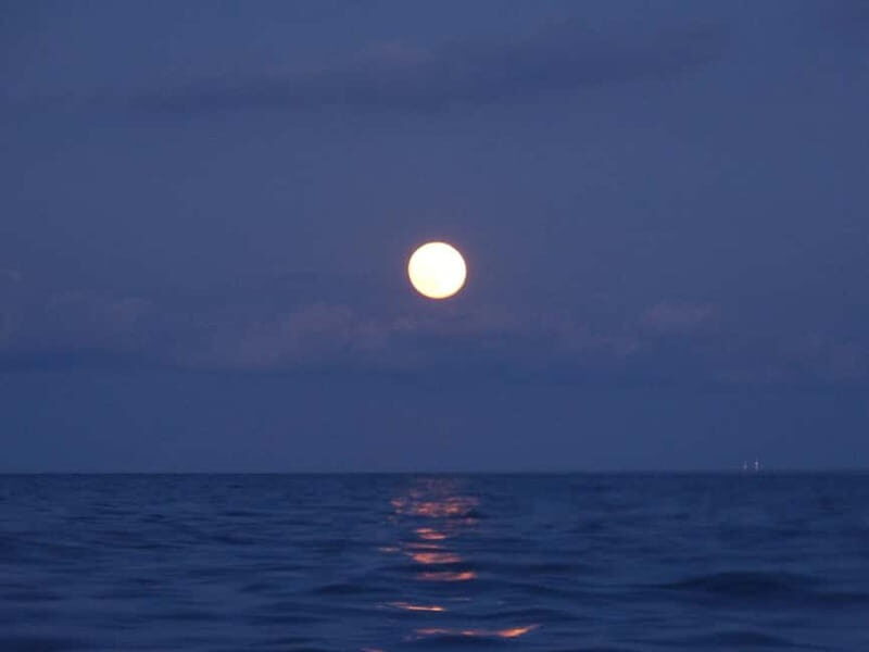 FULL MOON Boat Experience (OpenBar+Local Tapa included) - In-Depth: The Itinerary and What Sets Each Part Apart
