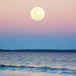 Full Moon Magic  2h Night Sailing in Sotogrande - The Itinerary and What to Expect