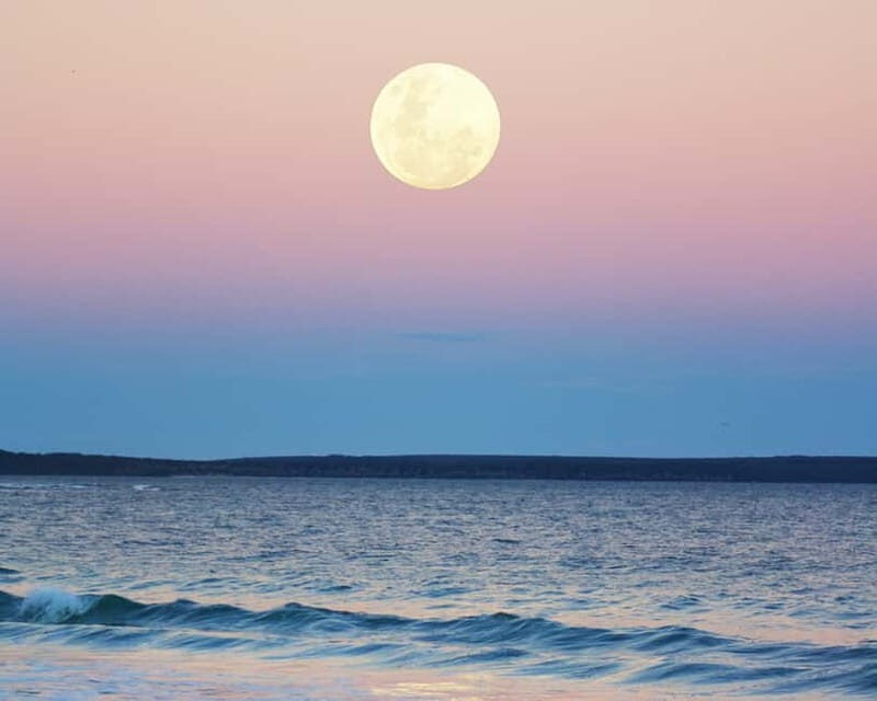 Full Moon Magic  2h Night Sailing in Sotogrande - The Itinerary and What to Expect