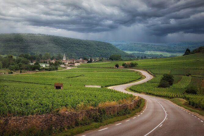 Full Rioja Wine Tour with Lunch from Bilbao Private Tour - Analyzing Value and Considerations