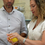 Fumane: cooking class with wine tasting in a Valpolicella - Why This Tour Is Worth Considering