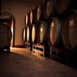 Fumane: Tasting of 5 Valpolicella and Amarone Vintage Wines - Practical Details for Visitors