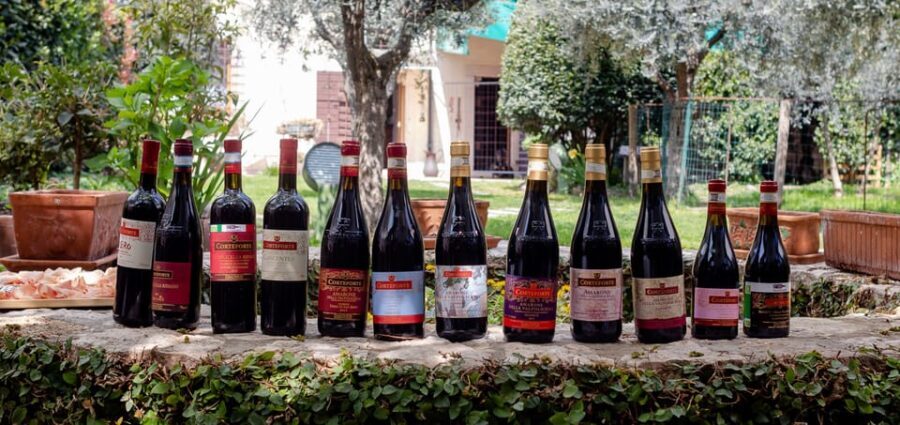 Fumane: Valpolicella wine tasting tour in a medieval court - Analyzing the Value