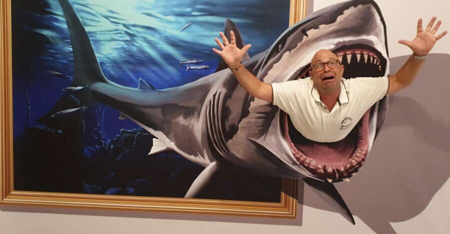 Funchal: 3D Fun Art Museum - The Visitor Experience from Reviews