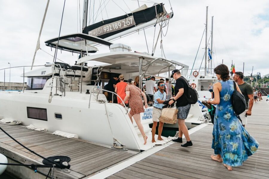 Funchal Bay: Dolphin & Whale Watch Luxury Catamaran Cruise - The Experience Itself: A Full Breakdown