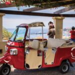 Funchal: Best Viewpoints Guided Tuk Tuk Tour - Deep Dive into the Highlights