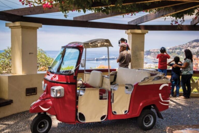 Funchal: Best Viewpoints Guided Tuk Tuk Tour - Deep Dive into the Highlights